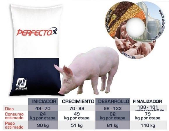 GRUPO NUTEC: Productos (31478)