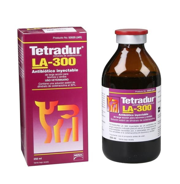 Boehringer Ingelheim: Productos (33417)