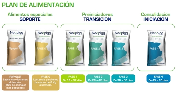 Neopigg programa nutricional para lechones de Provimi Cargill