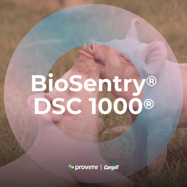 BioSentry® DSC 1000® detergente esterilizador para granja porcina