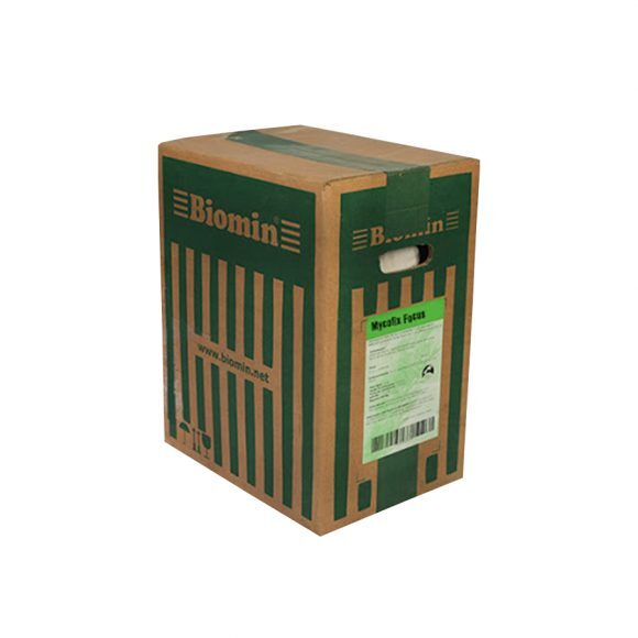 Invetsa: Productos (38075)