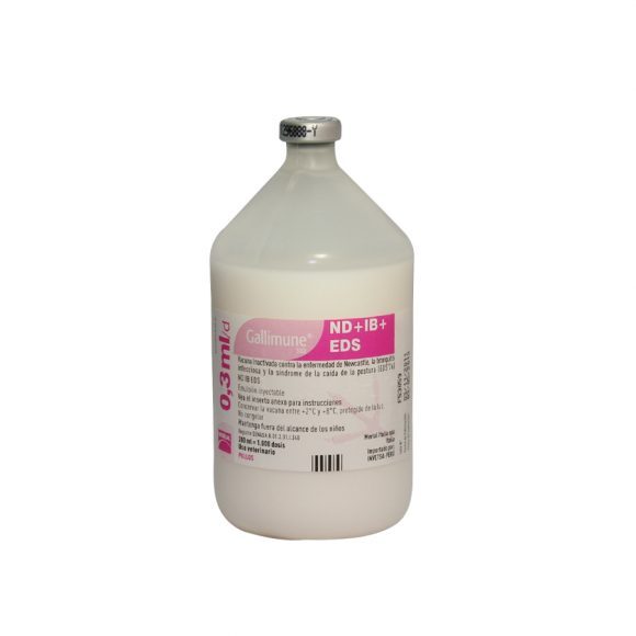 Invetsa: Productos (38104)