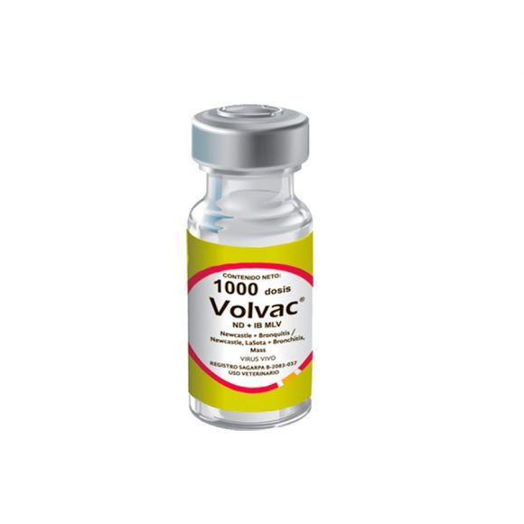 Invetsa: Productos (38135)