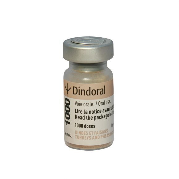 Invetsa: Productos (38158)