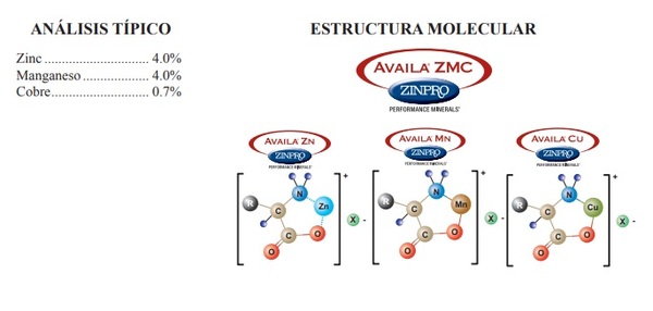 Avalia® ZMC Ingrediente alimenticio nutricional para aves